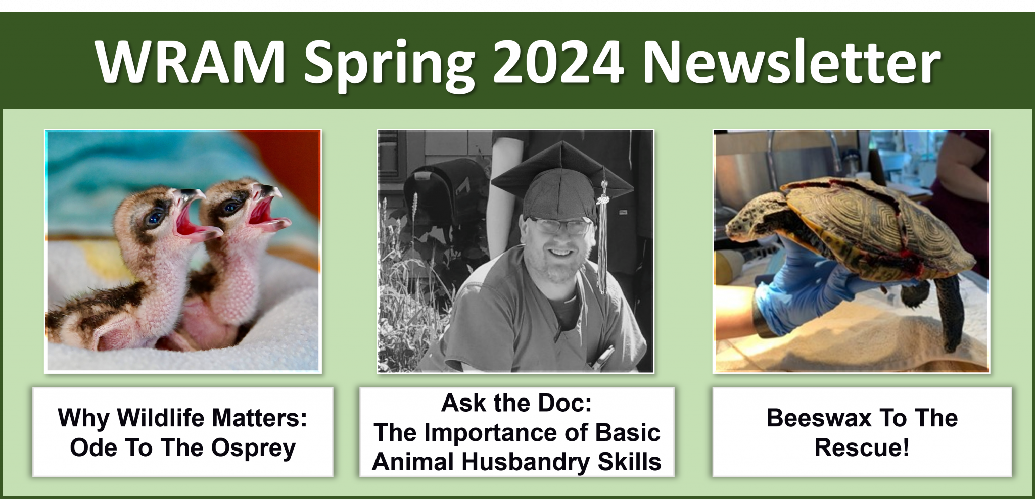 Wildlife Rehabilitators' Association of Massachusetts