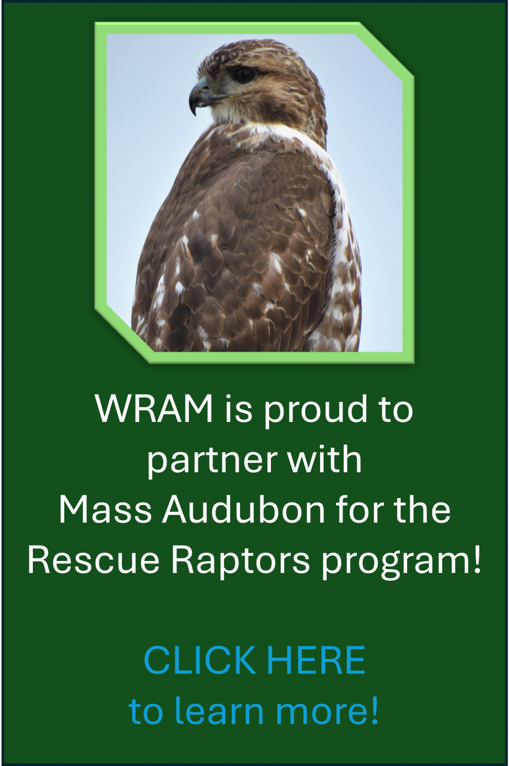 Wildlife Rehabilitators' Association of Massachusetts